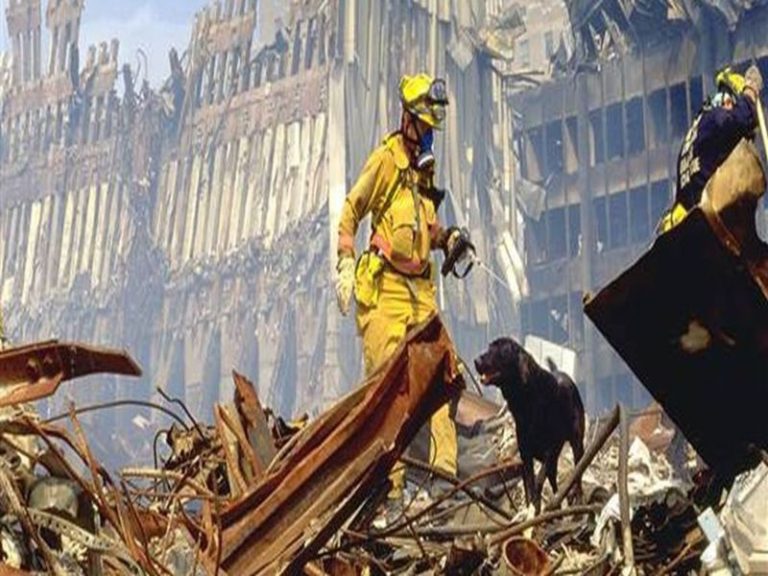 11Η ΣΕΠΤΕΜΒΡΙΟΥ 2001 - Κακοποίηση ζώων και ακτιβισμός - Η αδέσμευτη ...