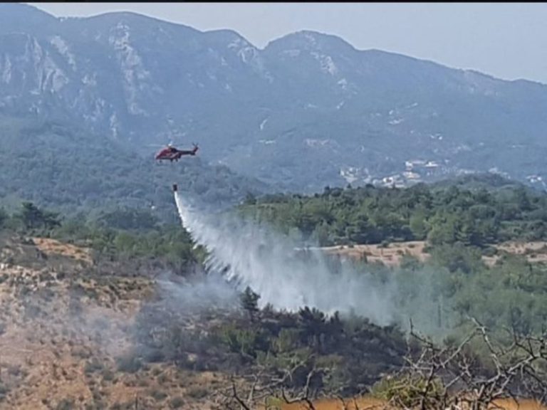 Η Σαμος μας χρειαζεται! Εκκενωθηκε το καταφυγιο αδεσποτων λογω της ...