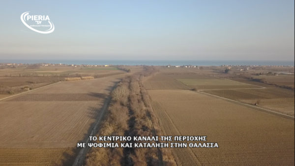 Πεθαμενα ζωα σε πληρη αποσυνθεση, μπαζα και σκουπιδια σε καναλι της ...