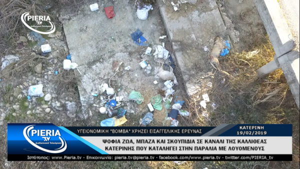 Πεθαμενα ζωα σε πληρη αποσυνθεση, μπαζα και σκουπιδια σε καναλι της ...