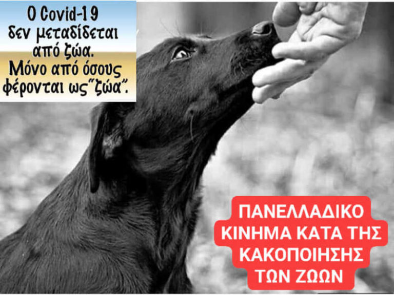 Για να προστατεψουμε τα αδεσποτα ζωα και οχι μονο αυτα που εμεις ...