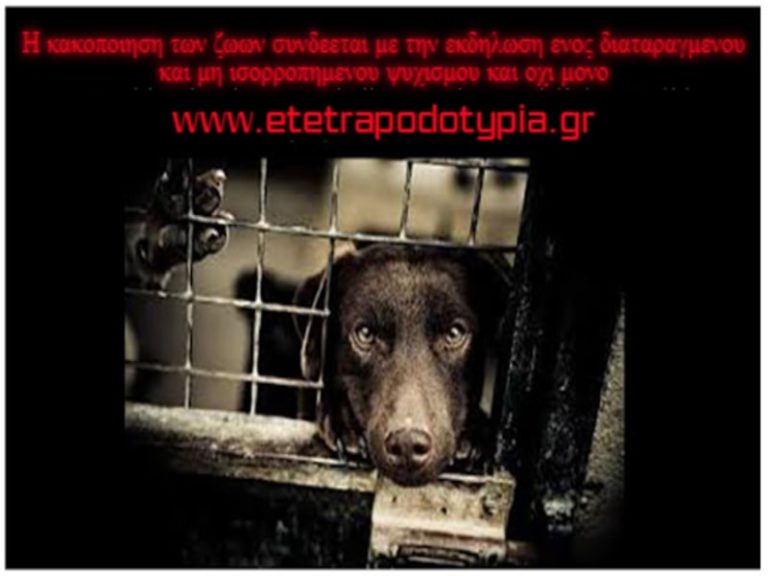 Η κακοποιηση των ζωων συνδεεται με την εκδηλωση ενος διαταραγμενου και ...