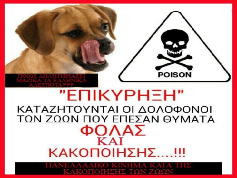 Ποιος δηλητηριαζει μαζικα τα Ελληνικα αδεσποτα? - Κακοποίηση ζώων και ...