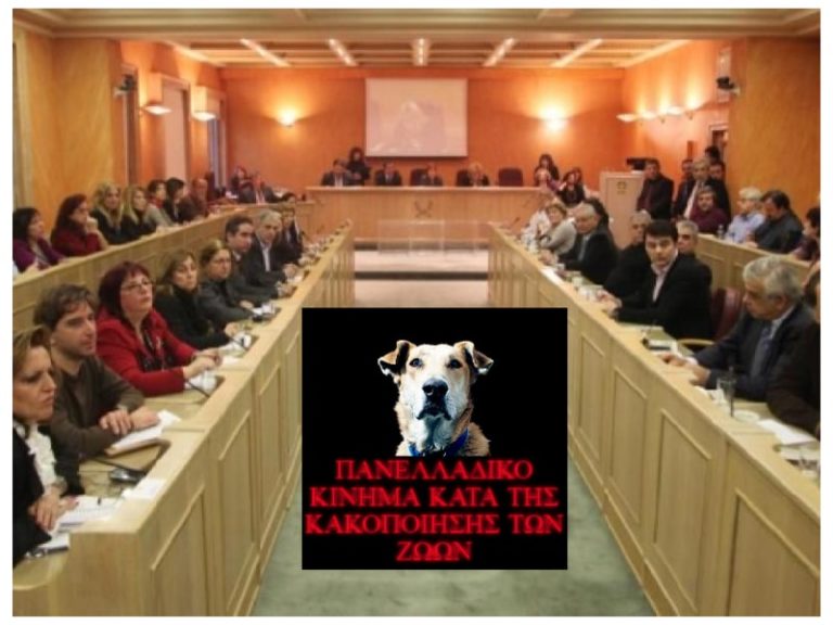 Τα δικαιωματα των ζωων και ειδικοτερα των αδεσποτων, δεν διεκδικουνται ...