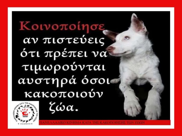 Stop στην κακοποιηση των ζωων! - Κακοποίηση ζώων και ακτιβισμός - Η ...